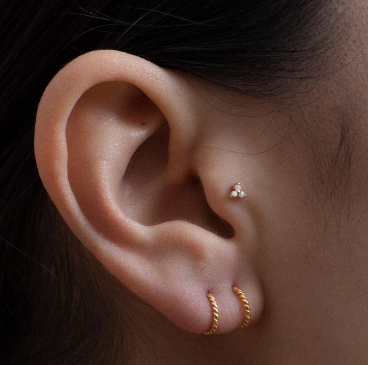 Piercing Services & Prices – PIERCED Online Piercing Jewellery Store